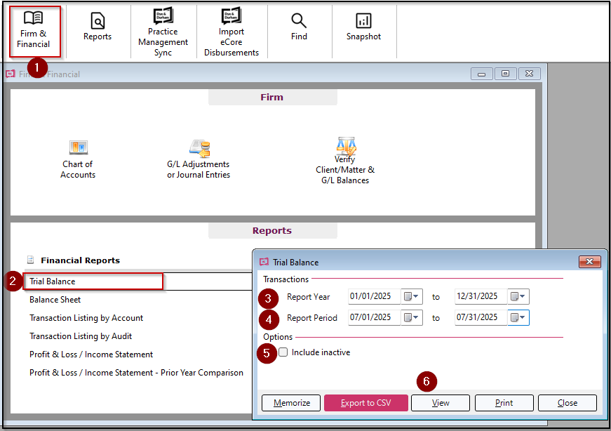 Trial Balance Report – Dye & Durham Canada
